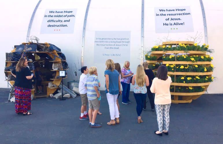 Large-Scale Interactive | Steven Homestead